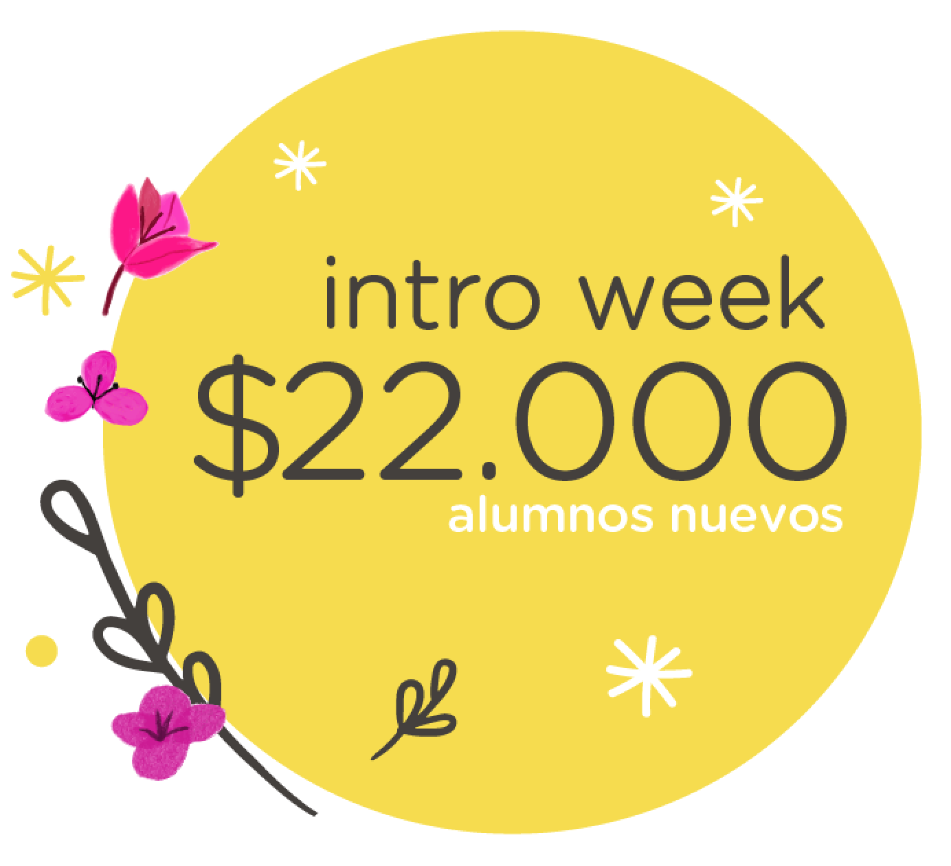 Contrata tu plan – CasaYoga